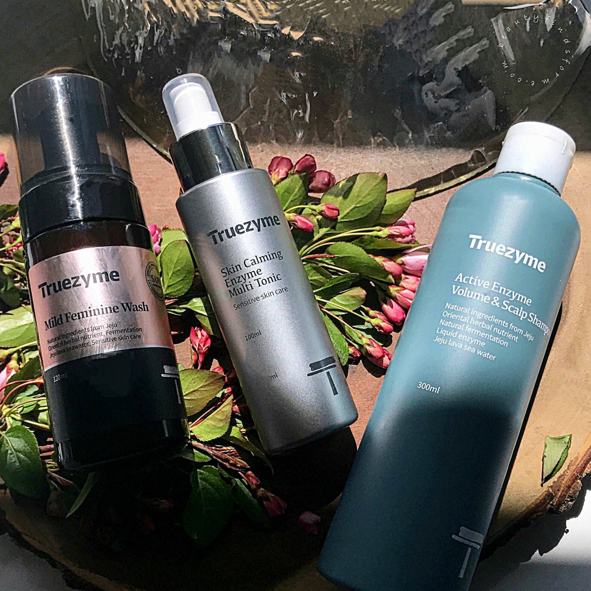 Truezyme: Skincare Products using ferments, hanbang & Jeju ingredients ...